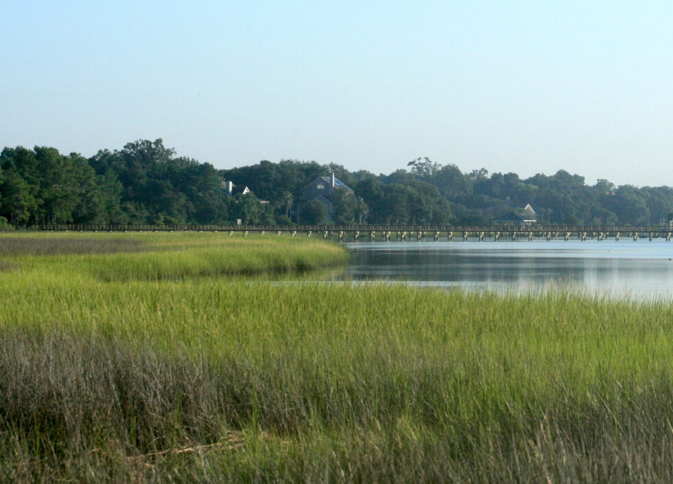 Conservation-Minded Cainhoy Development Plan - Point Hope